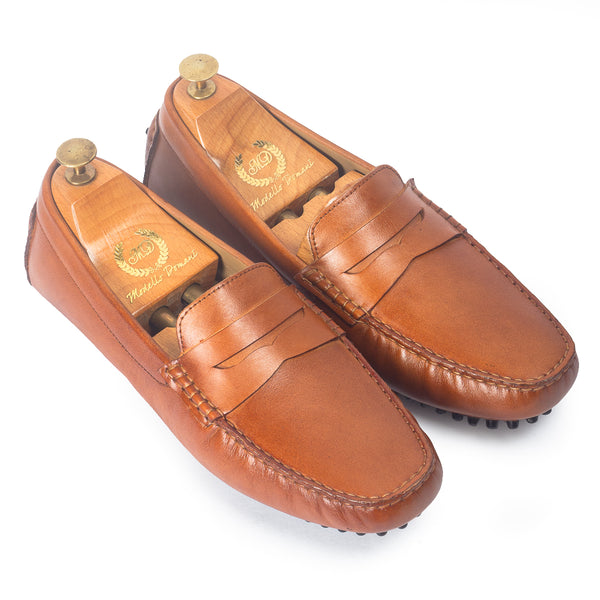 All Products – Modello Domani